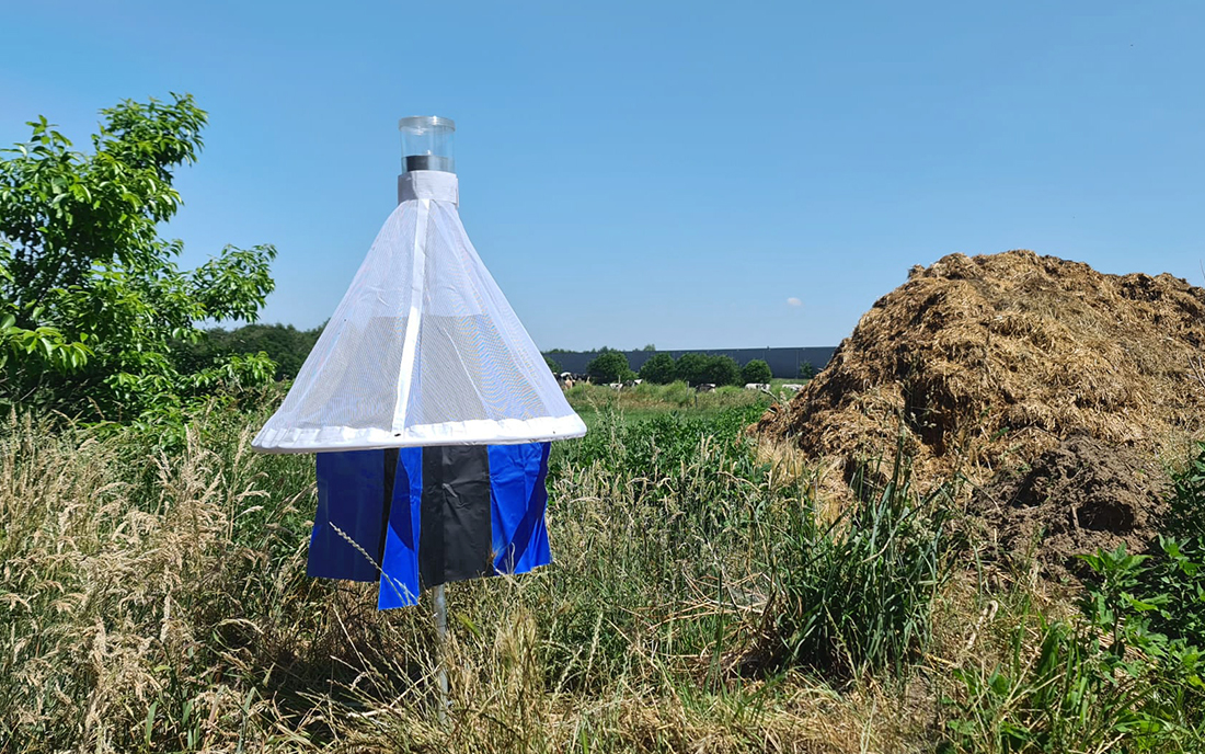 StomoxyCC Trap the new way to control stable flie